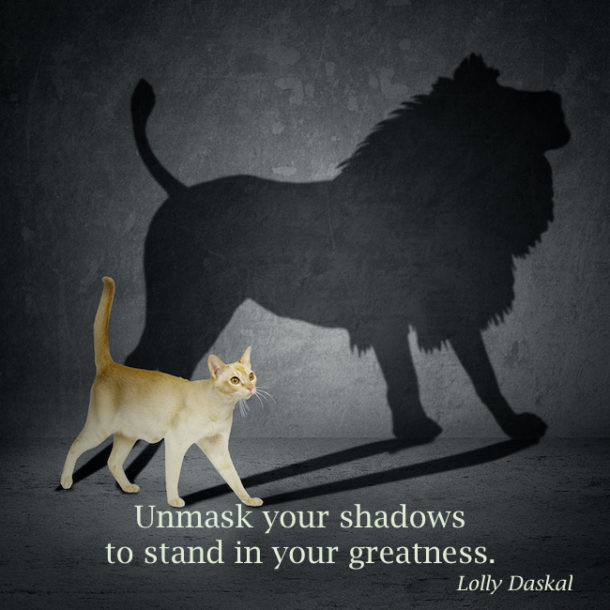 The Shadow Side of Leadership | Seapoint Center for Collaborative ...